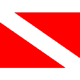 Skin Diver Flags - HigherUSA